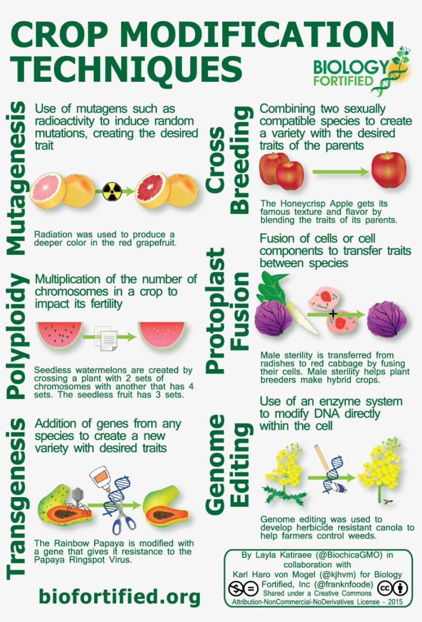 Vertical Png - Fondation Marcelle Et Jean Coutu PNG Image | Transparent ...