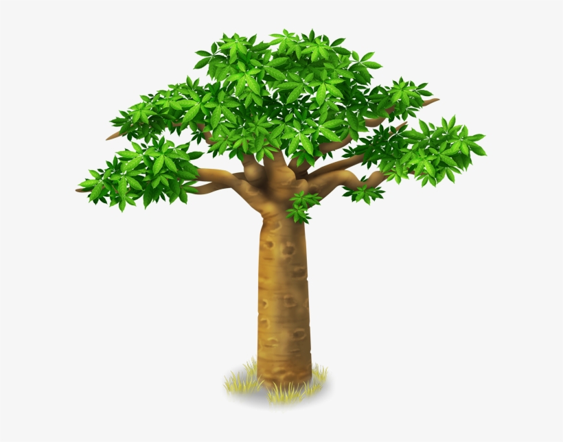 Baobab Tree - ภาพ การ์ตูน ต้นไม้ Png PNG Image | Transparent PNG Free ...