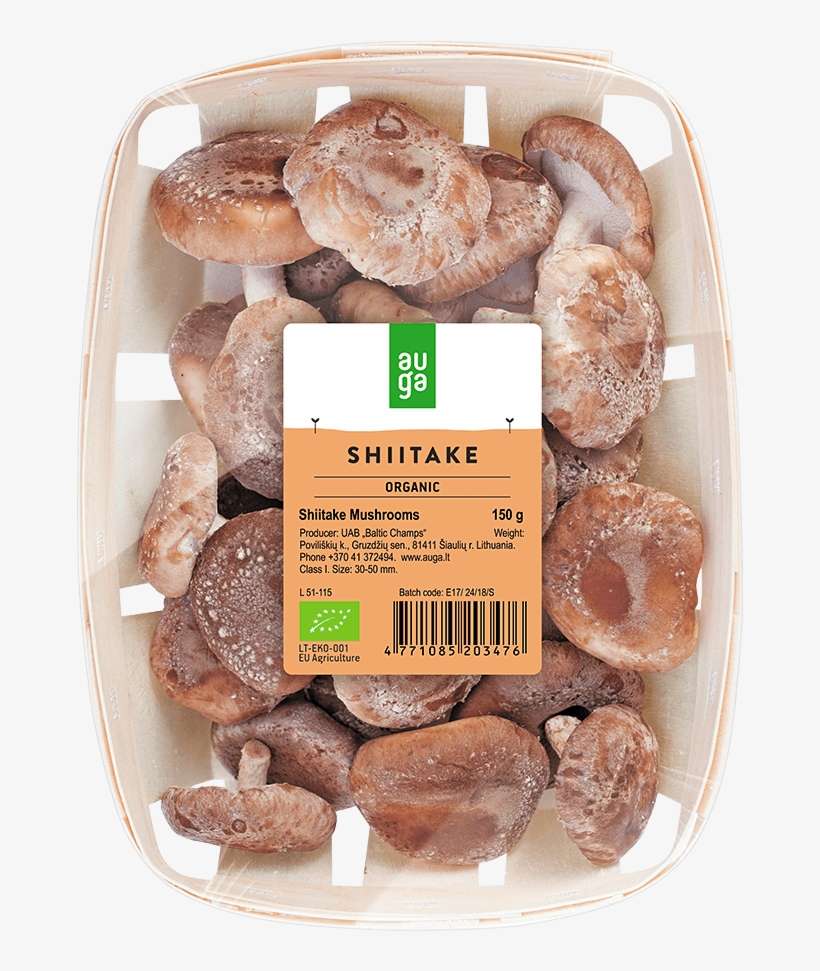 Shiitake PNG Image | Transparent PNG Free Download on SeekPNG