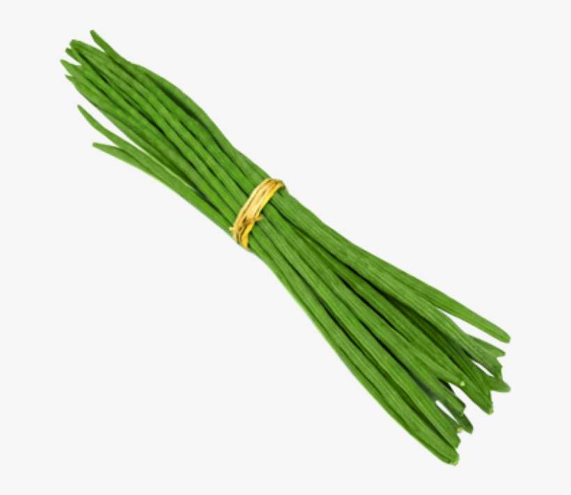 Home Vegetables Drumstick - Muringaka PNG Image | Transparent PNG Free ...