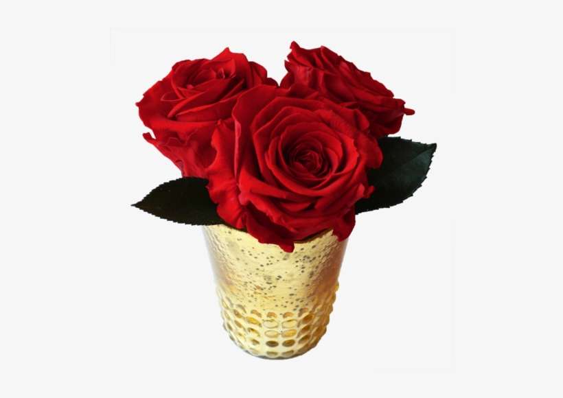 3 Rose Dotted Cup - 3 Rose PNG Image | Transparent PNG Free Download on ...