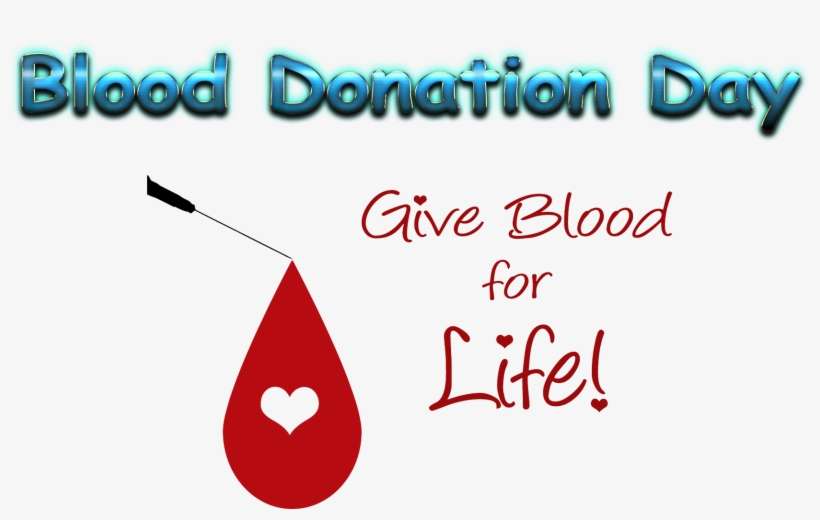 Hello, My Name Is Life PNG Image | Transparent PNG Free Download on SeekPNG