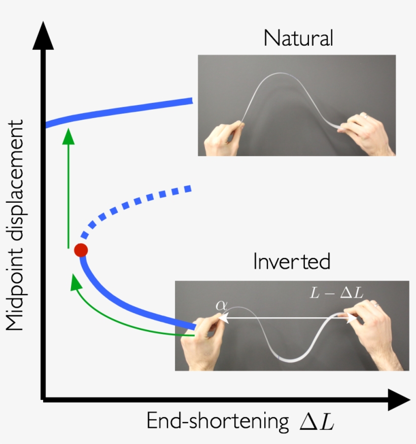Hummingbirds, Umbrellas And Hopper Poppers Do It - Diagram PNG Image ...