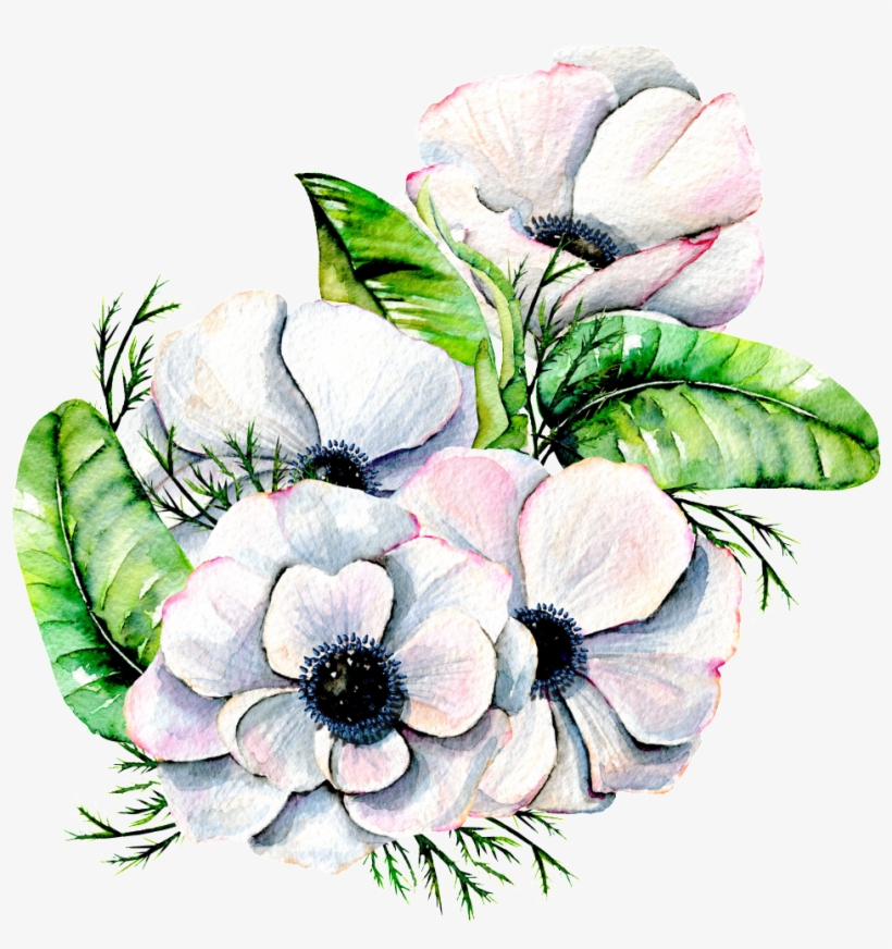 Download Hand Painted Elegant White Flower Png Transparent - White ...