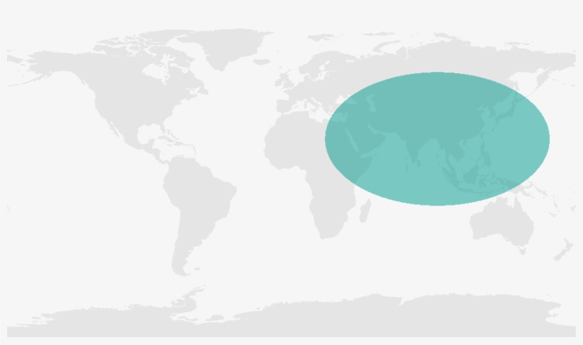 Wcrp Regional Activities In Asia - World Map PNG Image | Transparent ...