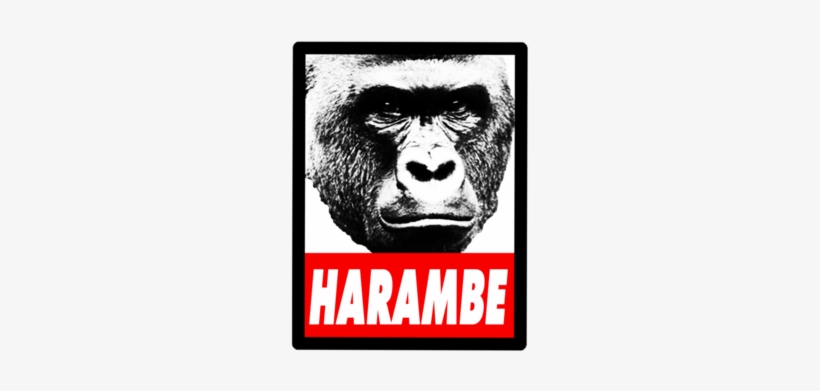 Harambe The Gorilla - Harambe T Shirt PNG Image | Transparent PNG Free ...