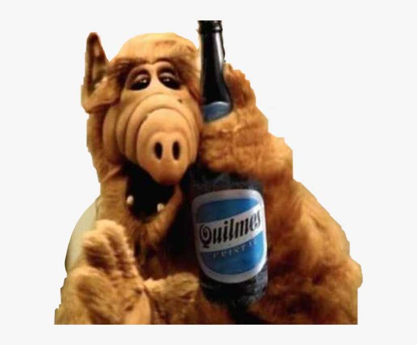 Alf Usa Old Comedy Beer Love Free Freetoedit - Alf Drinking Beer PNG ...