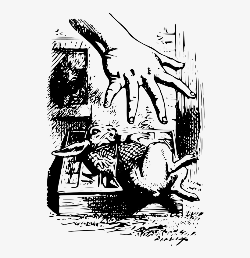 Alice's Adventures In Wonderland White Rabbit Mad Hatter - John Tenniel ...