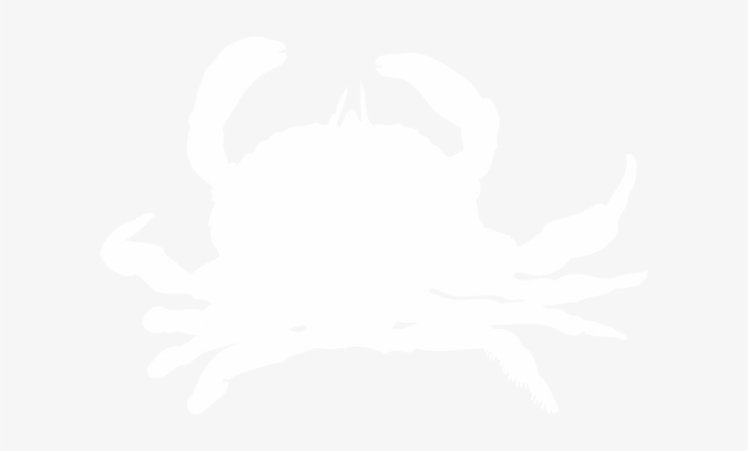 Small - Download PNG Image | Transparent PNG Free Download on SeekPNG