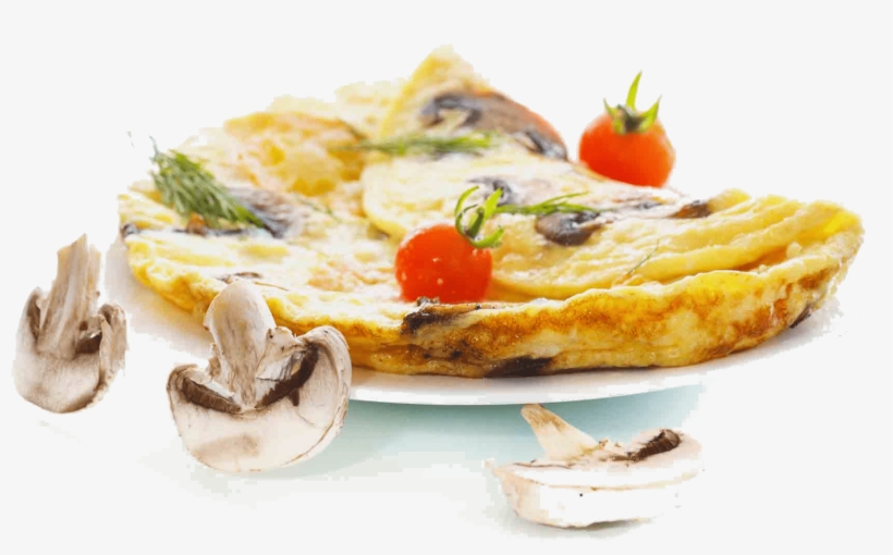 Photography PNG Image | Transparent PNG Free Download on SeekPNG