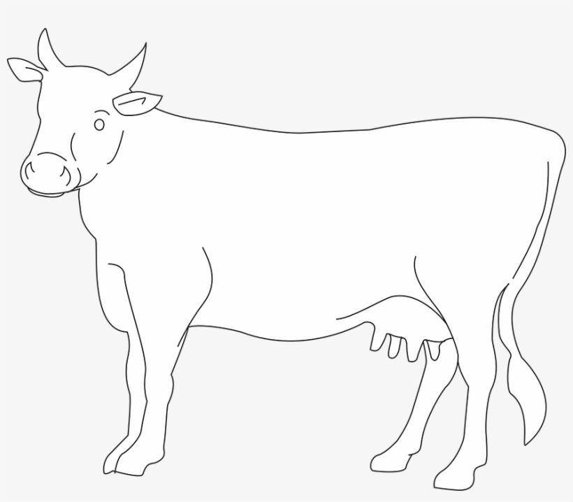 White Cow Png Photo - Cow Drawing Side View PNG Image | Transparent PNG ...