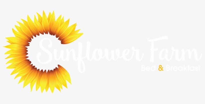 Logo - Belfast PNG Image | Transparent PNG Free Download on SeekPNG