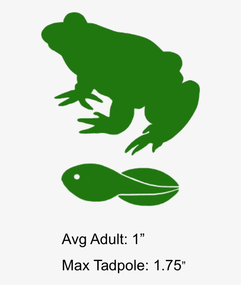 The Shaded Region Represents The Range Of The Southern - River PNG ...