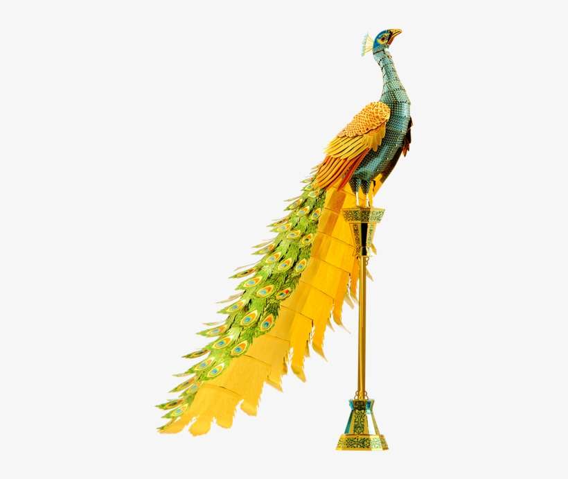 Iconx Peacock PNG Image | Transparent PNG Free Download on SeekPNG