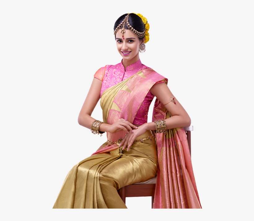 View More - Classy Silk Saree Blouse Design PNG Image | Transparent PNG ...