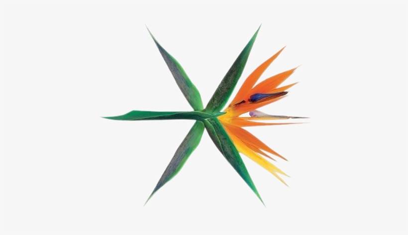 File - Exo - Kokobop - Ko Ko Bop Exo Album PNG Image | Transparent PNG ...