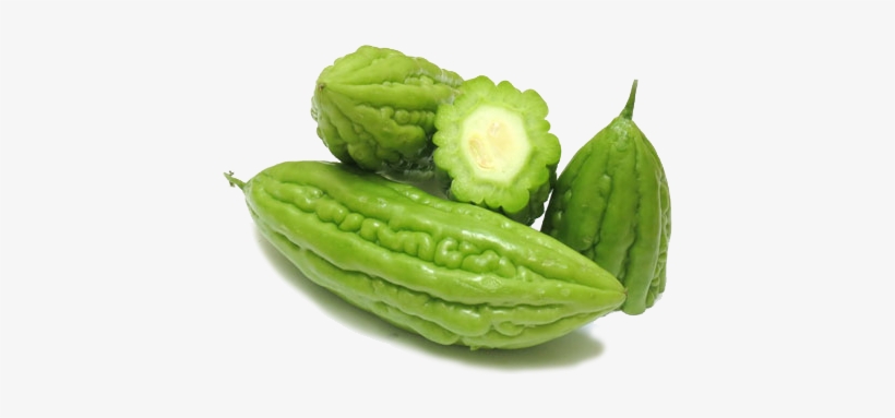 Bitter Gourd - Bitter Melon Png PNG Image | Transparent PNG Free ...