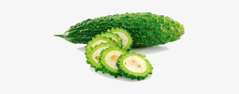Download Karela Vegetable In English Name | Transparent PNG Download ...