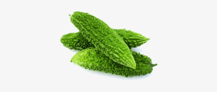Bitter Gourd - Karela Png PNG Image | Transparent PNG Free Download on ...
