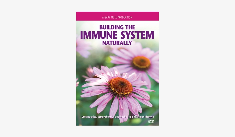 Building The Immune System Naturally - Immune System PNG Image ...