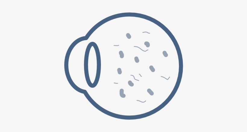 Flashes And Floaters - Circle PNG Image | Transparent PNG Free Download ...