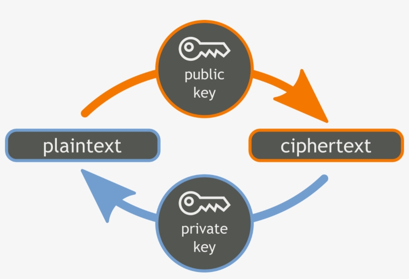 Public Key Cryptography - Public Key Cryptography Png PNG Image ...