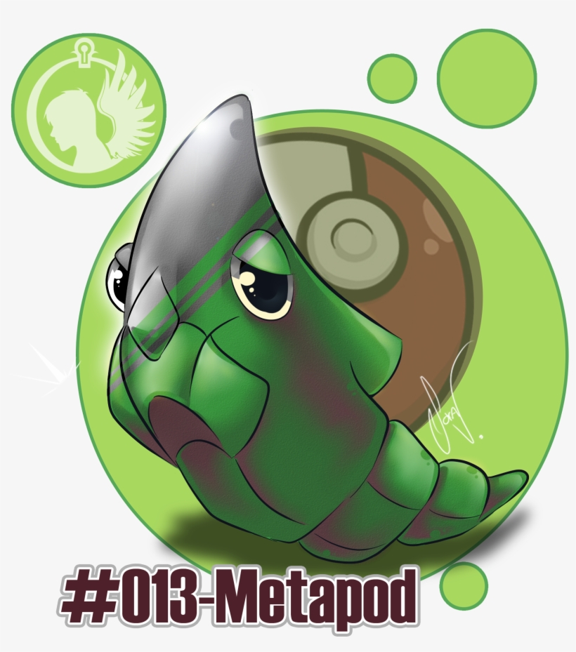 011-metapod - Metapod PNG Image | Transparent PNG Free Download on SeekPNG