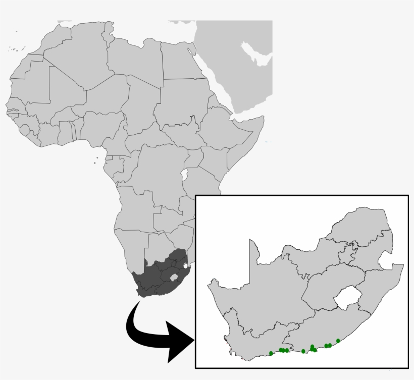 Open - Water Systems In North Africa PNG Image | Transparent PNG Free ...