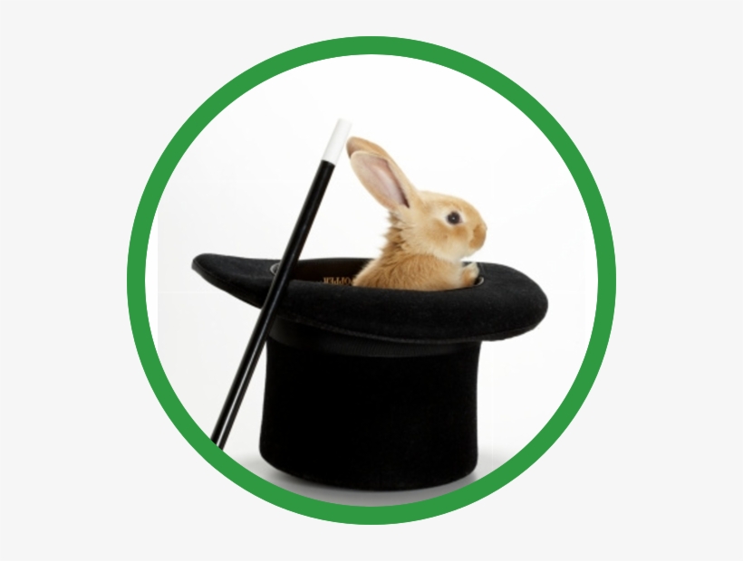 Hero Magic-rabit - Rabbit In Hat With Magic Wand Wristlet PNG Image ...