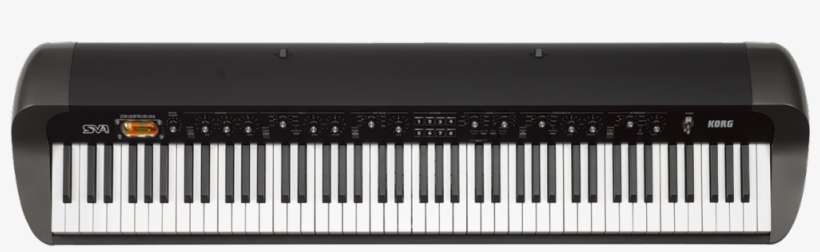 Korg Sv 1 88 PNG Image | Transparent PNG Free Download on SeekPNG