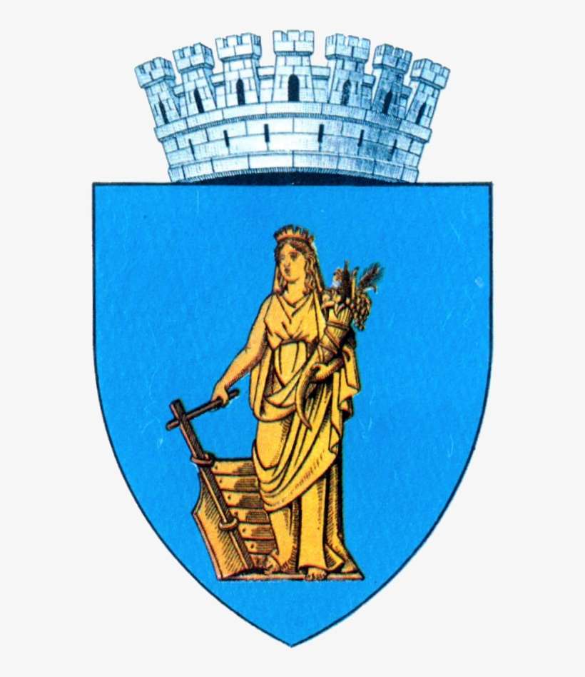 Logol Constanta Coa - Primaria Alba Iulia PNG Image | Transparent PNG ...
