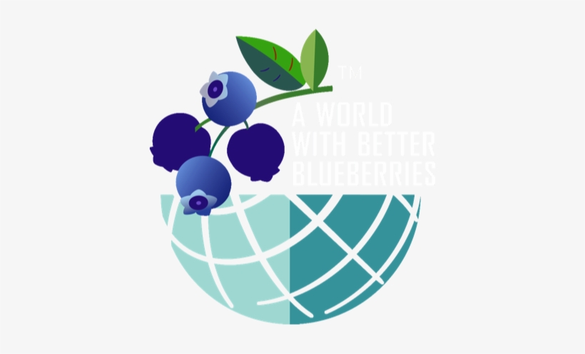 World-blueberries - “ - Blueberry Farm Logo PNG Image | Transparent PNG ...