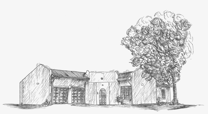 Sketch PNG Image | Transparent PNG Free Download on SeekPNG