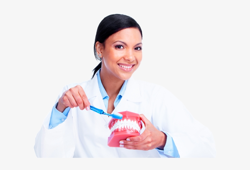 Discover Everything You Need For Optimal Oral Health - Dentist Png PNG Image | Transparent PNG ...