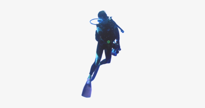 Download Diver - Freediving | Transparent PNG Download | SeekPNG