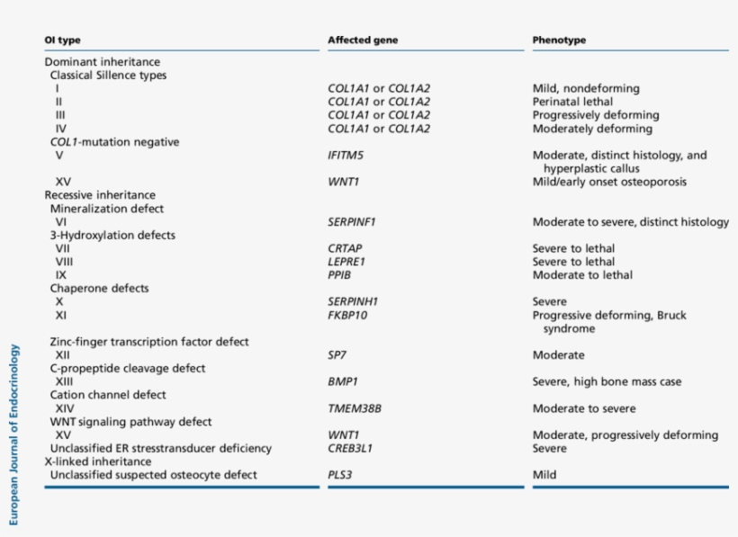 Classification Of Oi Types - Download PNG Image | Transparent PNG Free ...