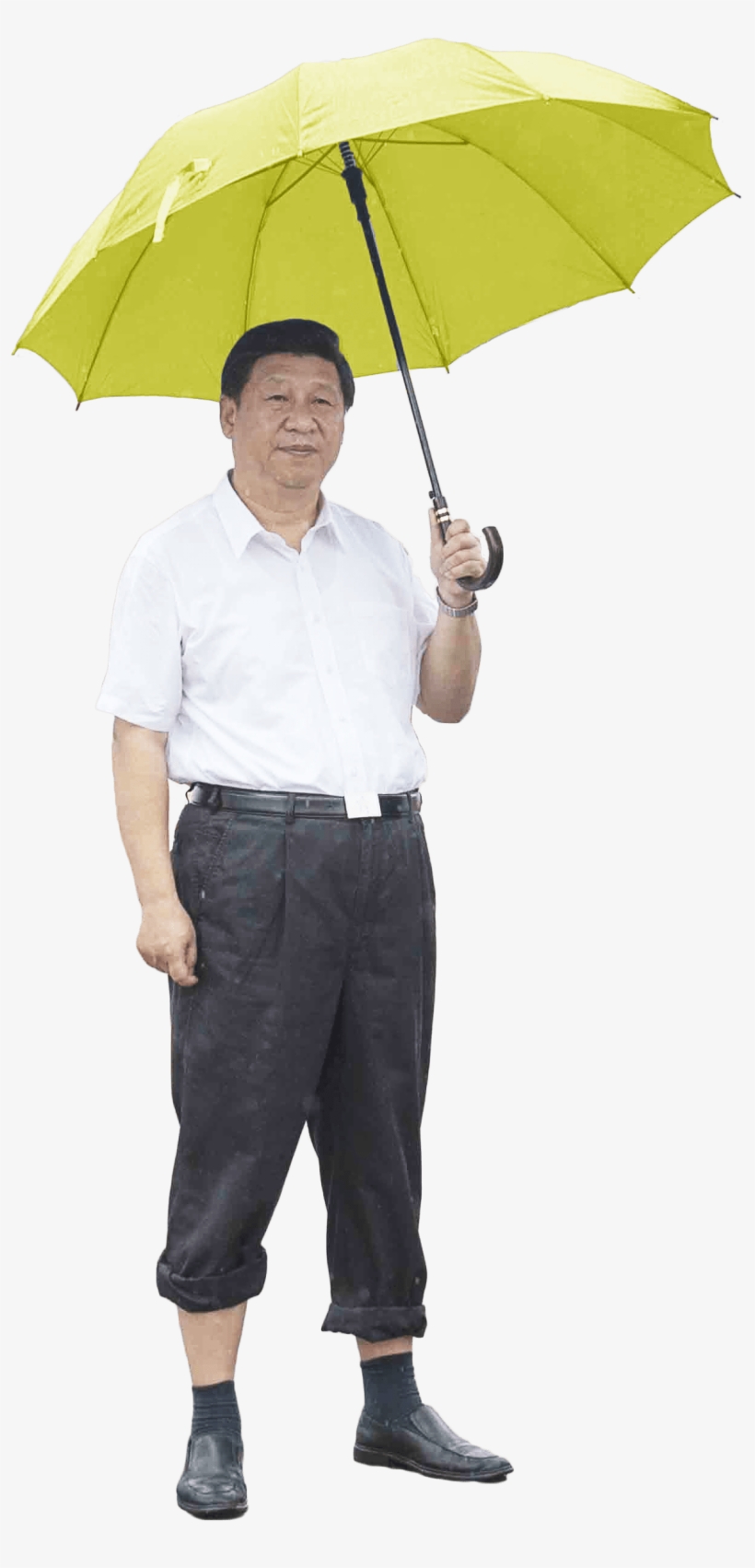 Xi Jinping Summer Png - Xi Jinping White Background PNG Image ...