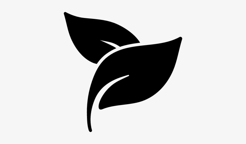 Herbal Spa Treatment Leaves Vector - Leaves Icon PNG Image ...