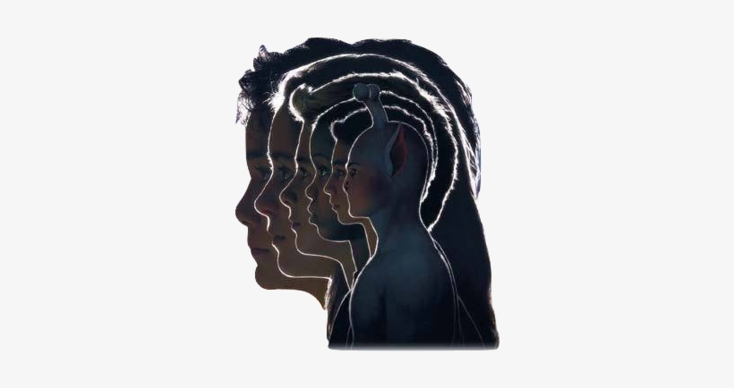 Animorphs 19 Transparent Pngs The Beginning By Dylandawaffleking ...