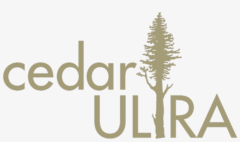 Cedar Ultra Logo - White Pine PNG Image | Transparent PNG Free Download ...