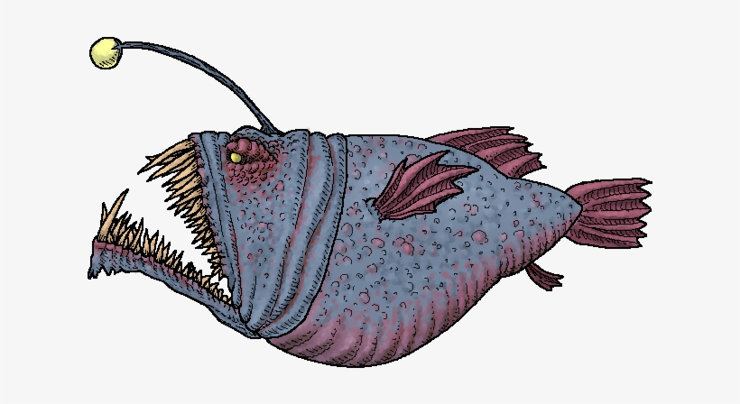 Download Angler Fish Png | Transparent PNG Download | SeekPNG