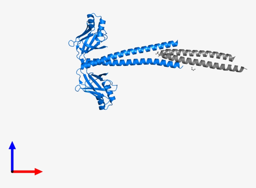pdb Entry 3mud Contains 2 - Illustration PNG Image | Transparent PNG ...