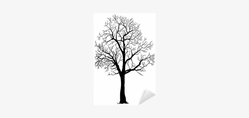 Vector Black Silhouette Of A Bare Tree Sticker • Pixers® - Bare Trees ...