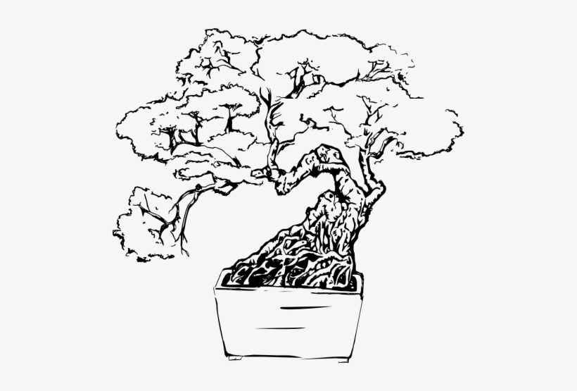Bonsai,tree,line - Tree Line Art Png PNG Image | Transparent PNG Free ...