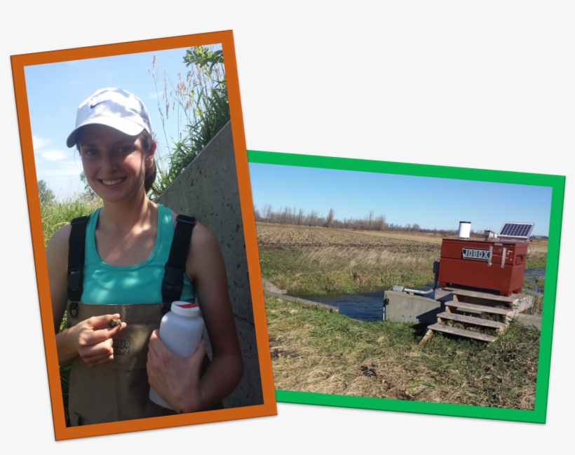 Sampling PNG Image | Transparent PNG Free Download on SeekPNG