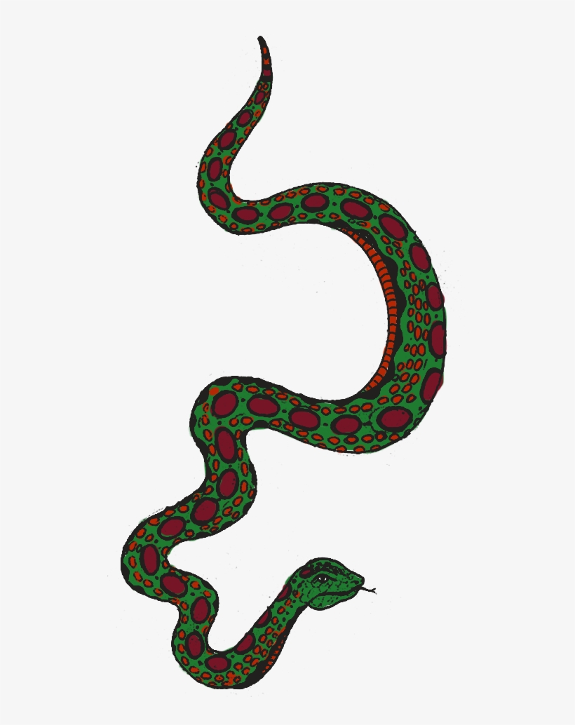 Drawn Snake Transparent - Snake Winding Around Png PNG Image ...