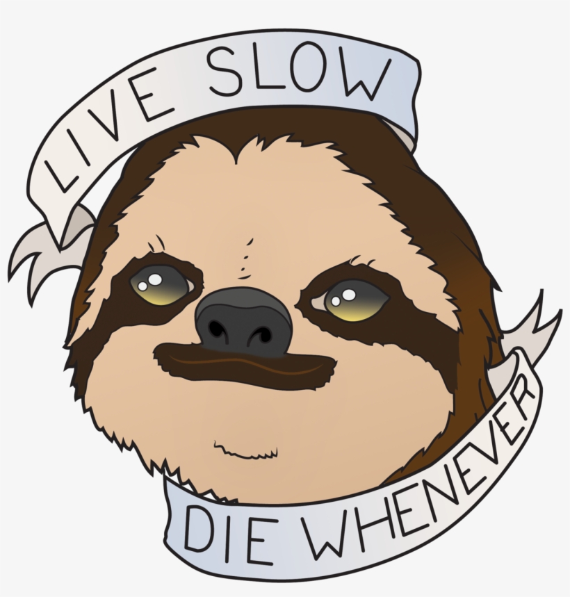 Download Looking Up Sloths With Motivational Quotes - Go Slow Die ...