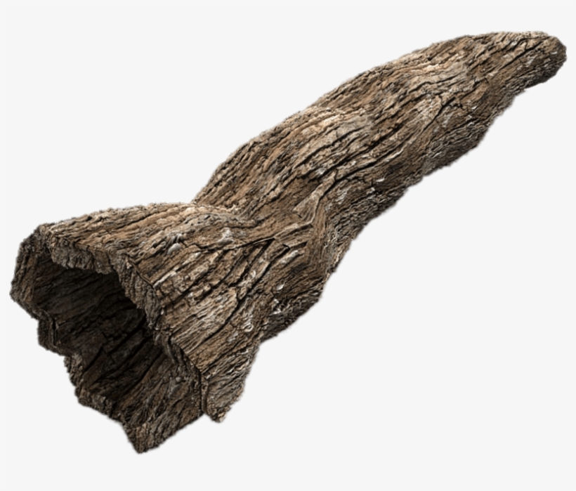 Nature - Trunk PNG Image | Transparent PNG Free Download on SeekPNG