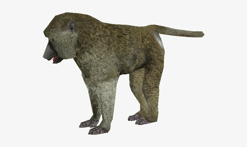 Baboon Png Clipart - Baboon Png PNG Image | Transparent PNG Free ...
