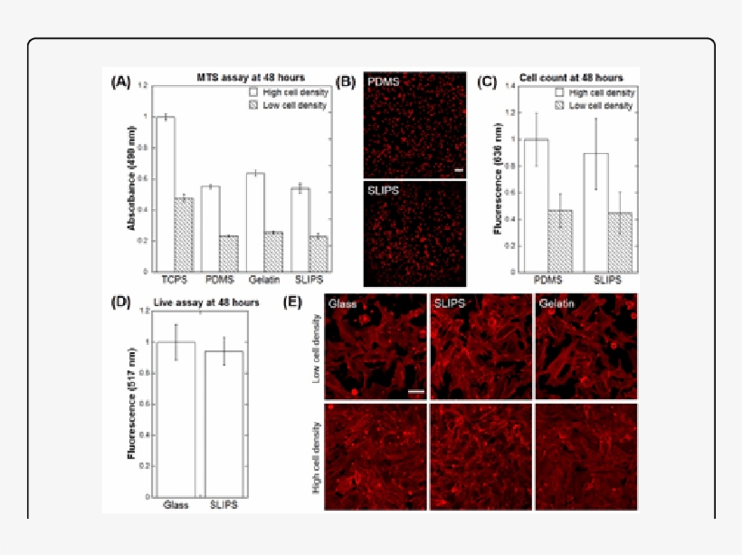 Download Mts Cell Proliferation Assay - Assay | Transparent PNG ...